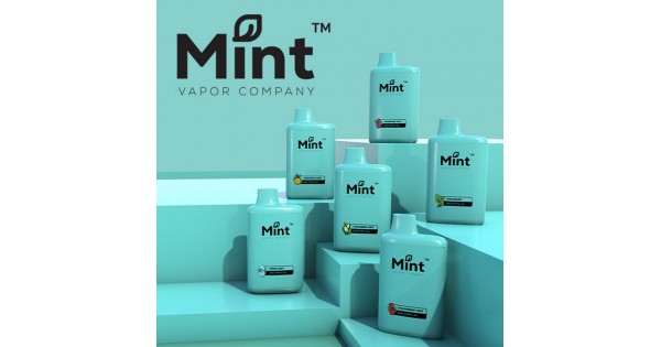 MINT by MNKE Bars Disposable 5%, mint 6500