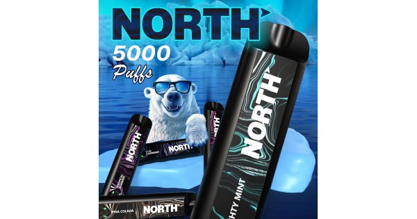 North 5000 Disposable 5%