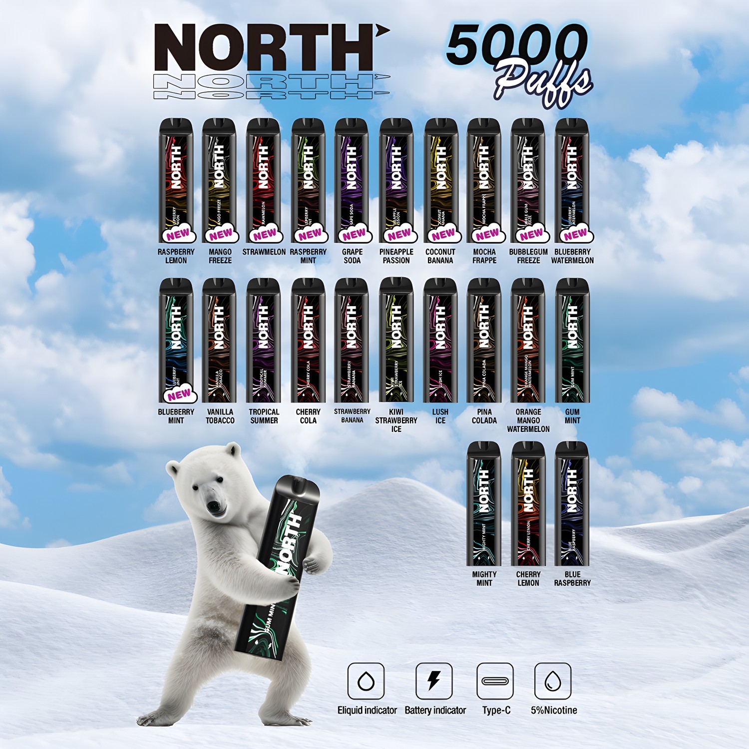 North 5000 Disposable 5%