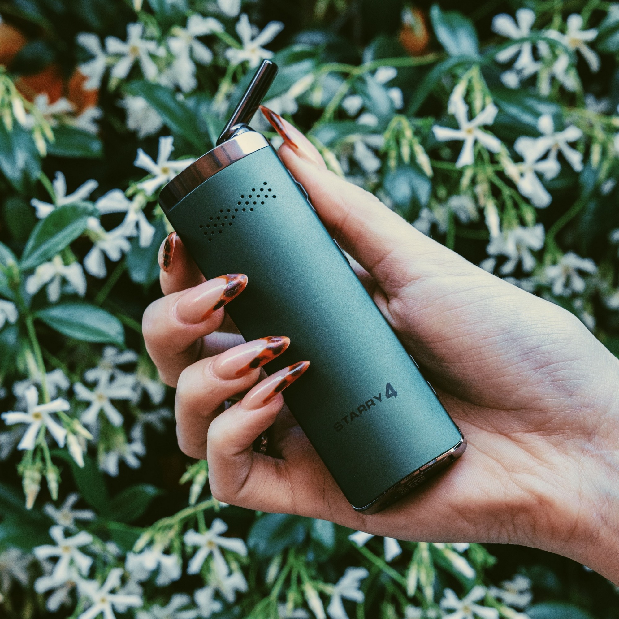 XVAPE Starry 4 Vaporizer, xmax starry, starry vaporizer, thc, , dry ...